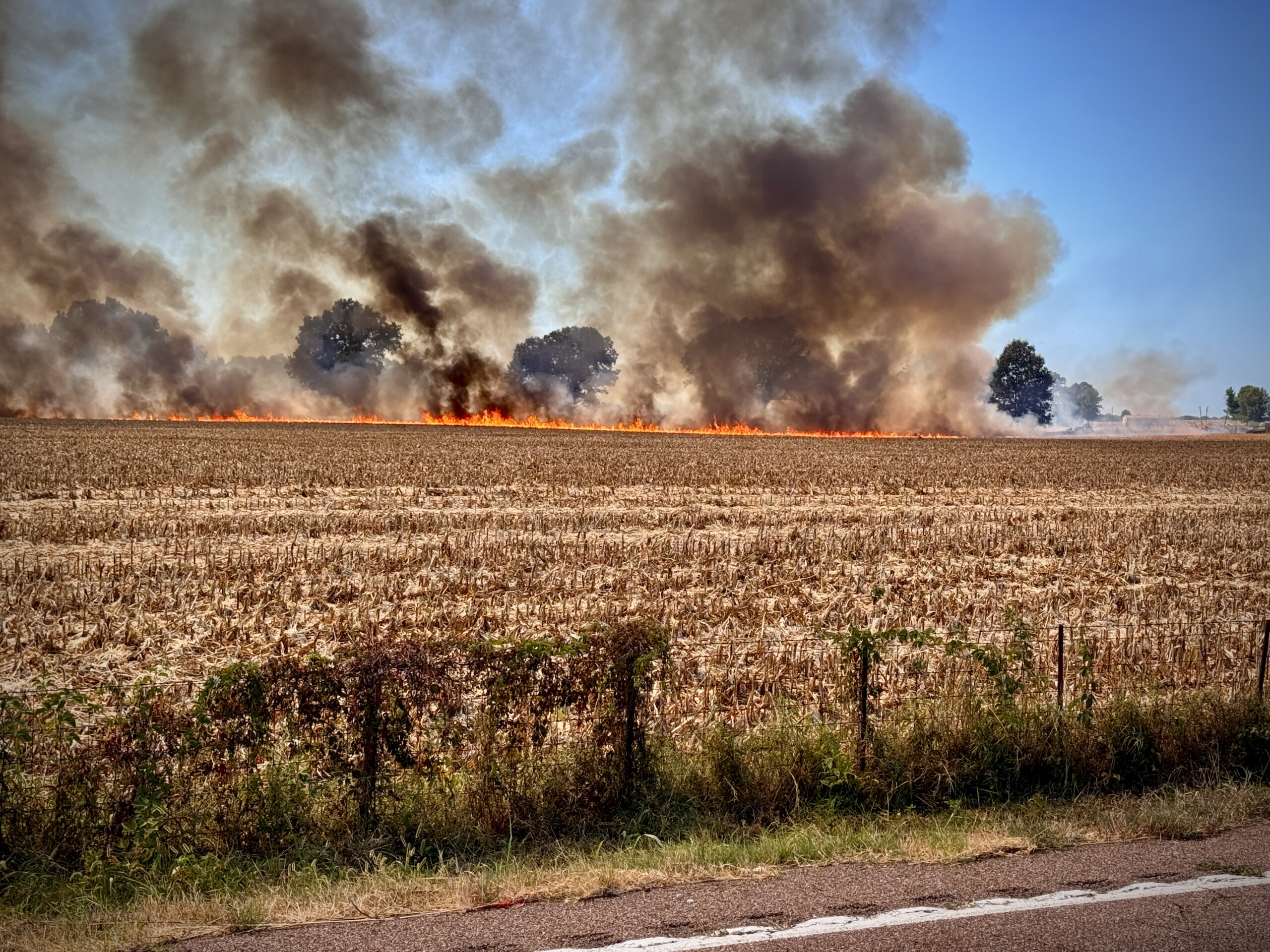 Large field fire reported north of Kenton - WBBJ TV